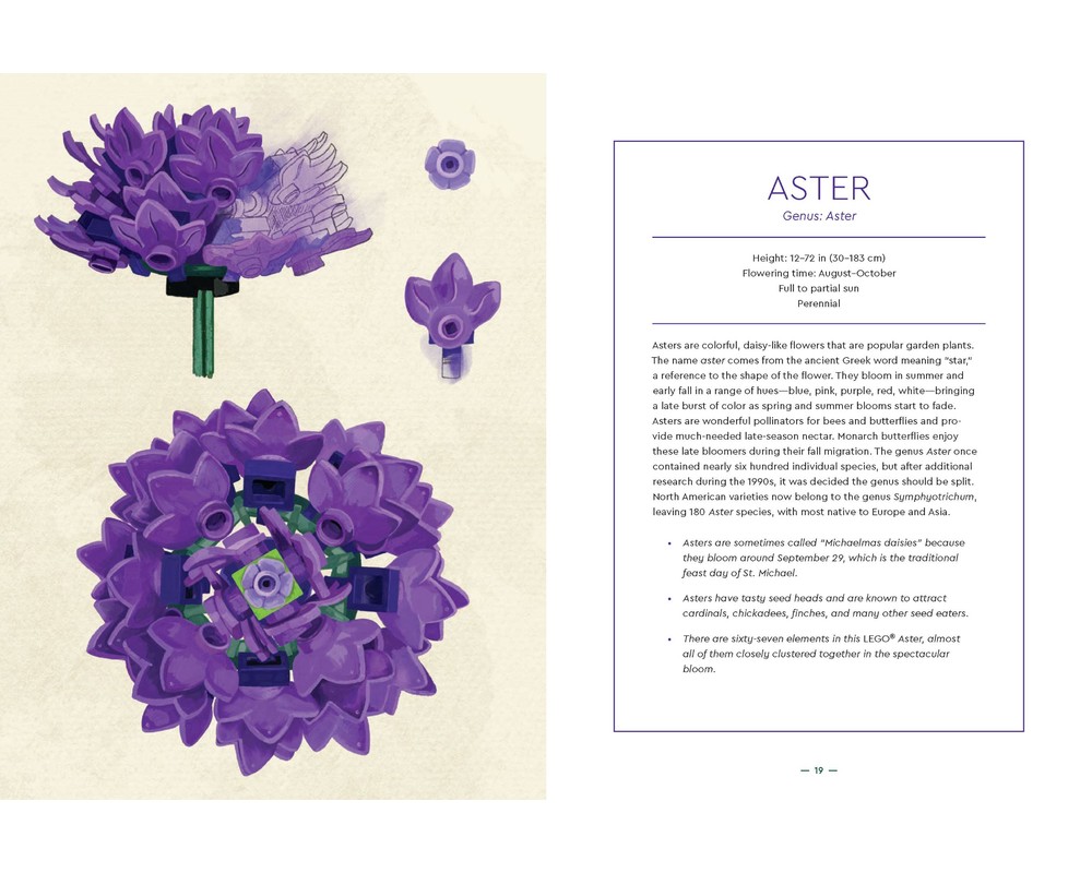 LEGO Set 5008877-1 Botanical Almanac: A Field Guide to Brick-Built ...