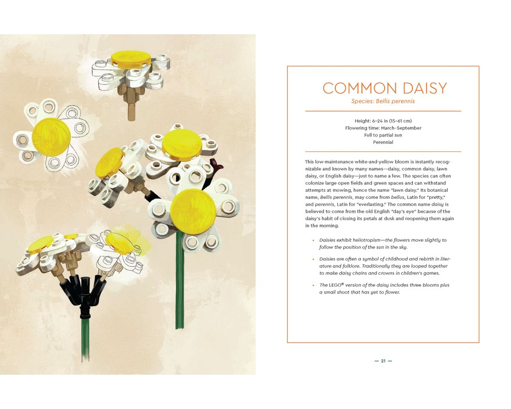 LEGO Set 5008877-1 Botanical Almanac: A Field Guide to Brick-Built ...