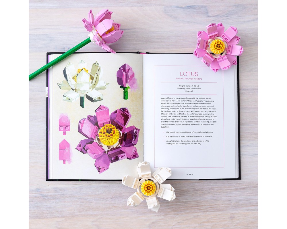 LEGO Set 5008877-1 Botanical Almanac: A Field Guide to Brick-Built ...