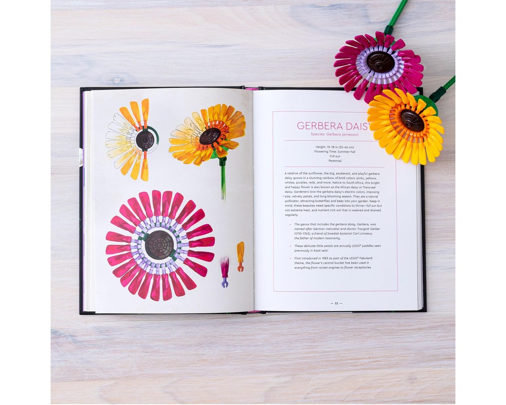 LEGO Set 5008877-1 Botanical Almanac: A Field Guide to Brick-Built ...