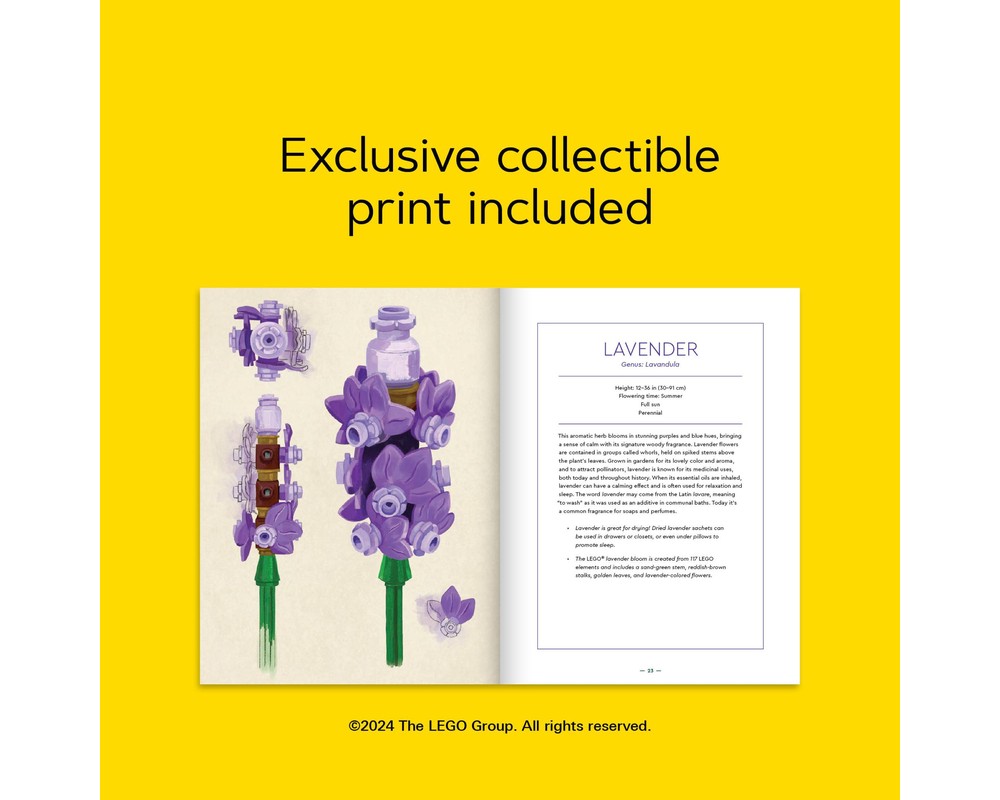 LEGO Set 5008877-1 Botanical Almanac: A Field Guide to Brick-Built ...