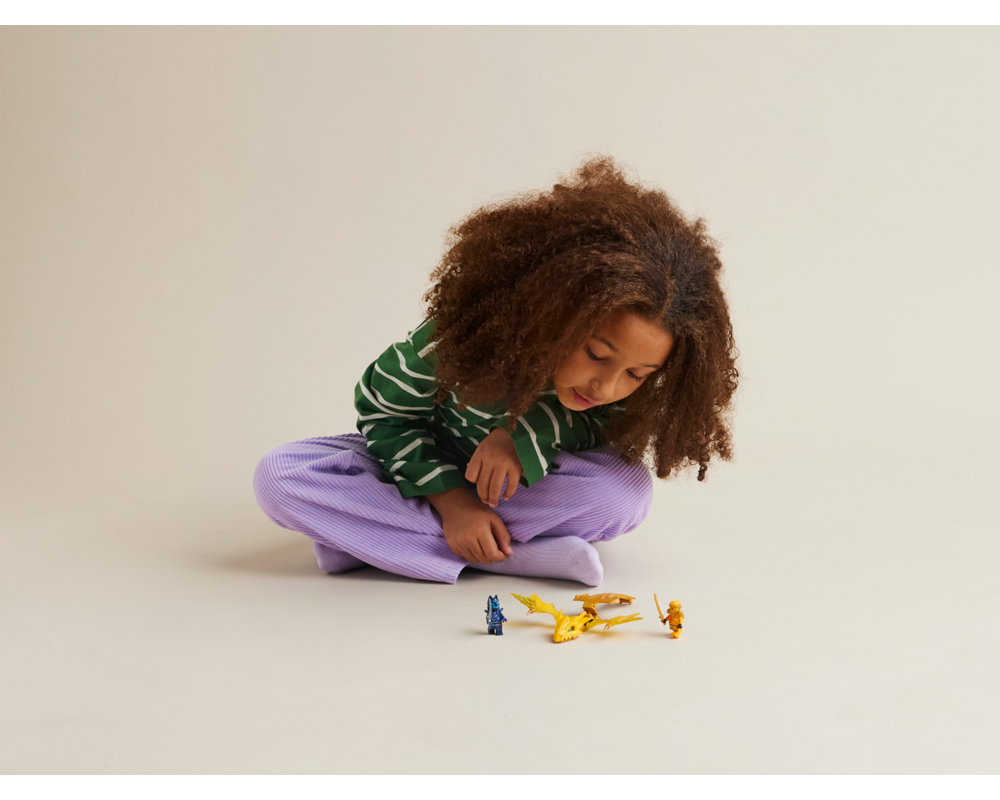 LEGO Set 71803-1 Arin's Rising Dragon Strike (2024 Ninjago ...