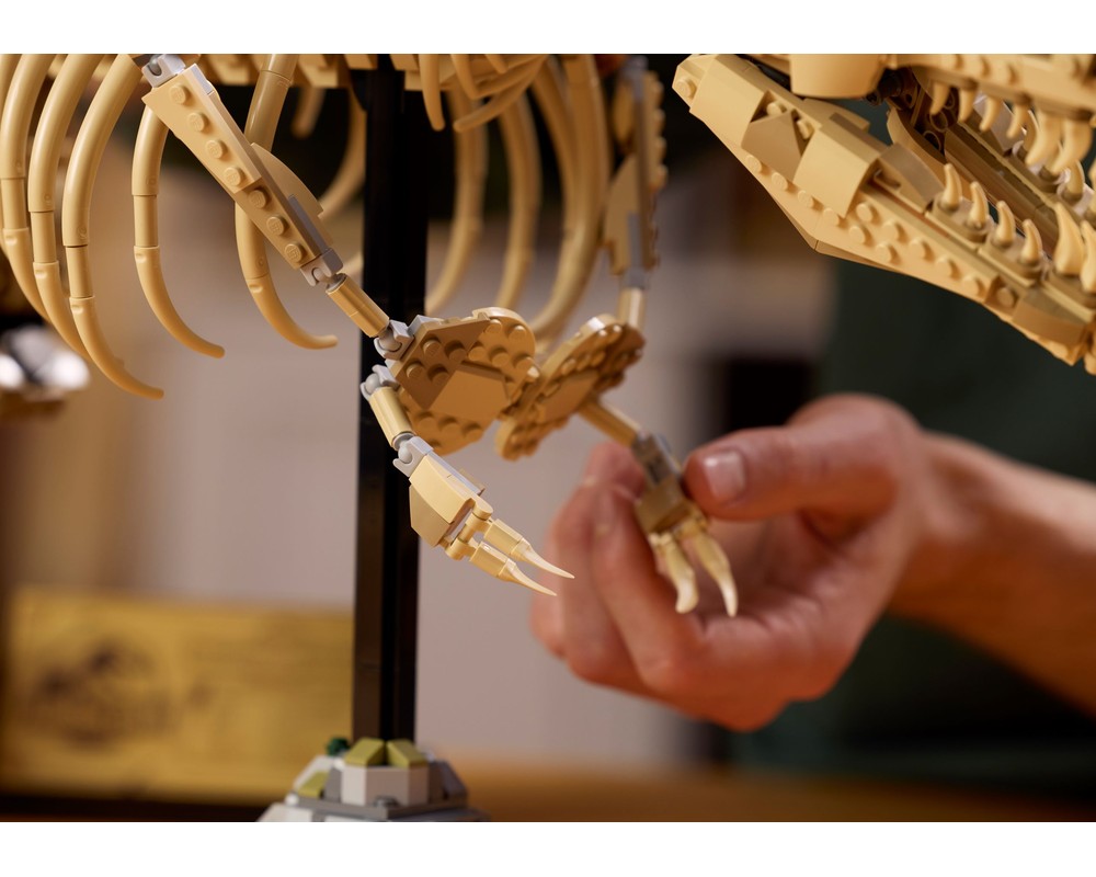 LEGO Set 76968-1 Dinosaur Fossils: Tyrannosaurus Rex (2025 Jurassic ...
