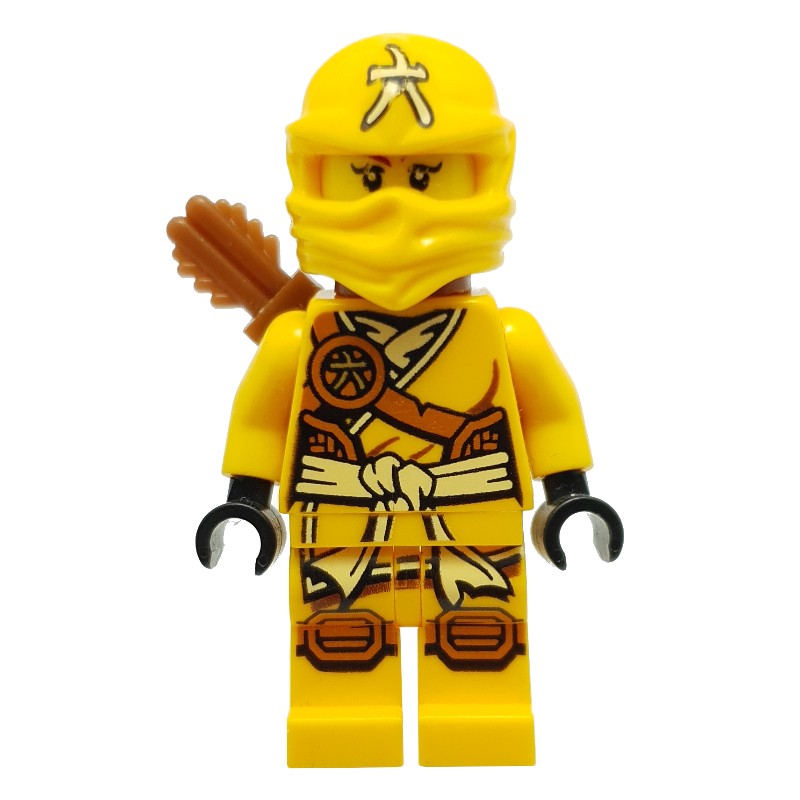 LEGO Set fig-002735 Skylor in Jungle Robes (Tournament of Elements ...
