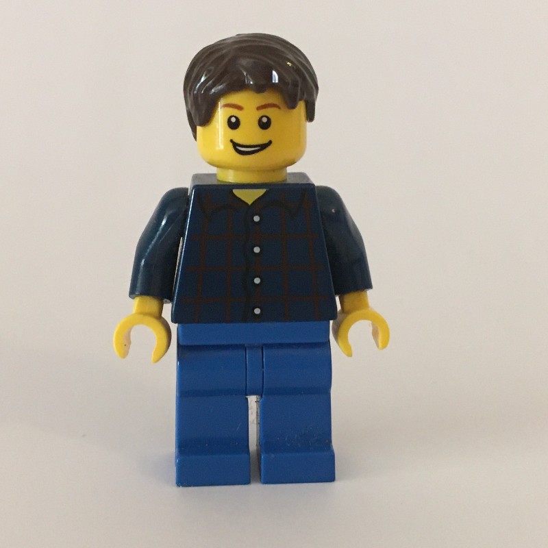 LEGO Set fig-009303 Man, Dark Blue Plaid Shirt, Blue Legs, Dark Brown ...
