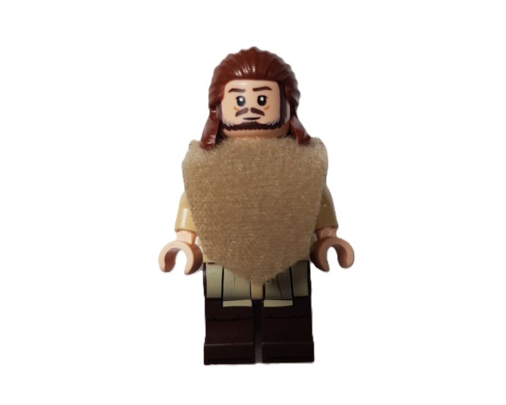 LEGO Set fig-016019 Qui-Gon Jinn, Poncho, Dark Brown Beard ...