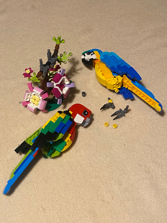 LEGO MOC Eastern Rosella parrot by legham | Rebrickable - Build with LEGO