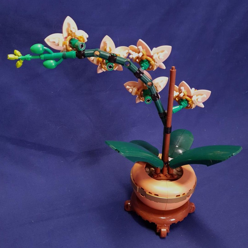 Review: 10343-1 - Mini Orchid & 10344-1 - Lucky Bamboo | Rebrickable ...