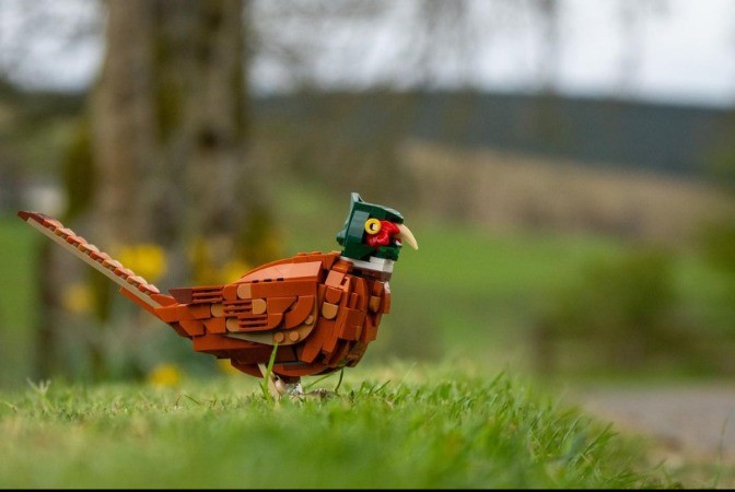 LEGO MOC-183592 Pheasant by SKABRAM | Rebrickable - Build with LEGO