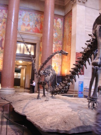 LEGO MOC 21320 Allosaurus & Kaatedocus/Barosaurus by Ambrosino ...