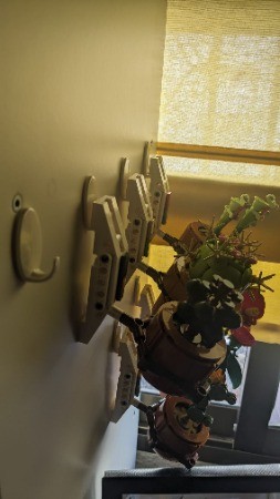 LEGO MOC Pod Holder: Custom Wall Display for LEGO Set 10329 Pods by ...