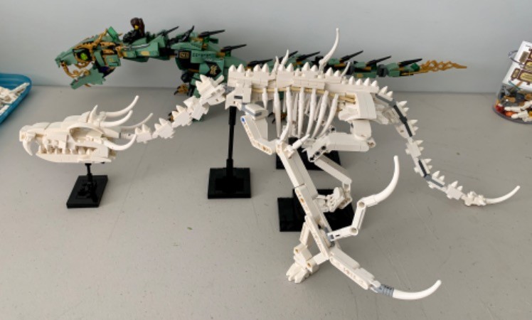 LEGO MOC 21320 Dragon Fossil by Janotechnic | Rebrickable - Build with LEGO