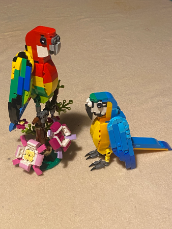 LEGO MOC Eastern Rosella parrot by legham | Rebrickable - Build with LEGO
