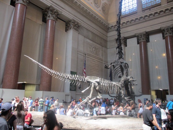 LEGO MOC 21320 Allosaurus & Kaatedocus/Barosaurus by Ambrosino ...