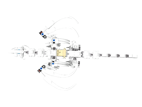 LEGO MOC-187100 Bone Dragon by KaiNeilius | Rebrickable - Build with LEGO