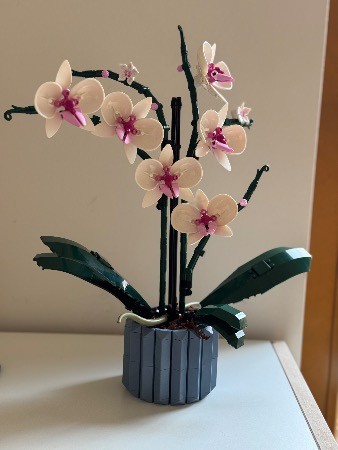 LEGO Set 10311-1 Orchid (2022 Botanicals) | Rebrickable - Build with LEGO