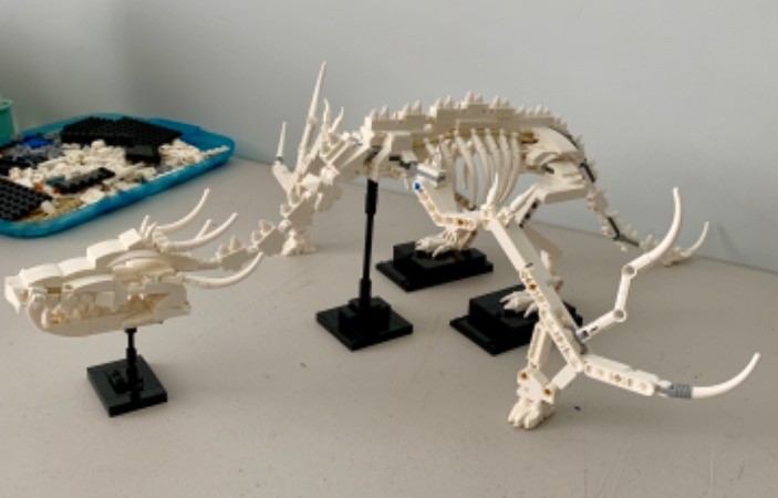 LEGO MOC 21320 Dragon Fossil by Janotechnic | Rebrickable - Build with LEGO