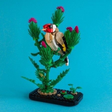 LEGO MOC Thistle (Goldfinch display) by SKABRAM | Rebrickable - Build ...
