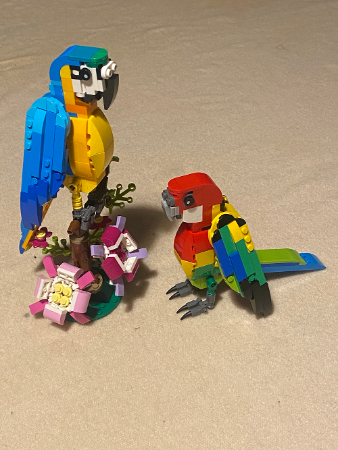 LEGO MOC Eastern Rosella parrot by legham | Rebrickable - Build with LEGO