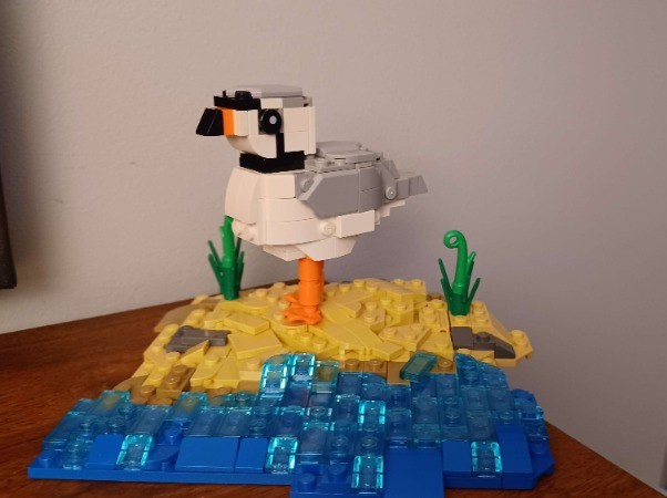 LEGO MOC Piping plover by Penguins and plastic | Rebrickable - Build ...