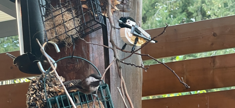 LEGO MOC Black-Capped Chickadee Life Sized by OrchardBuilds ...