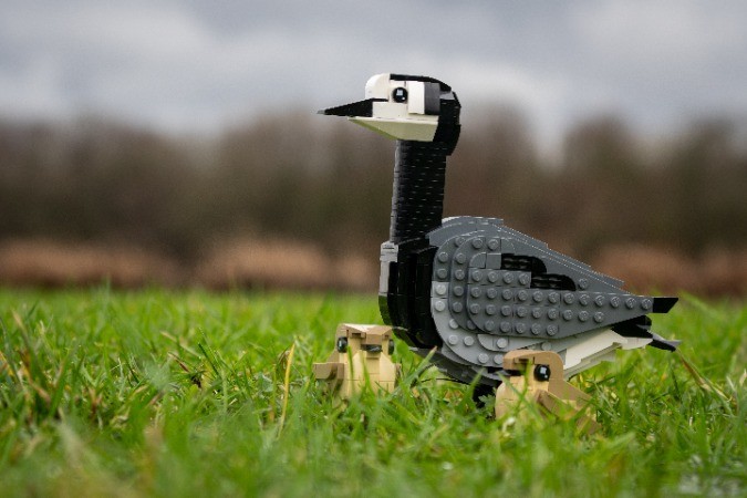 LEGO MOC Barnacle goose and goslings by SKABRAM | Rebrickable - Build ...