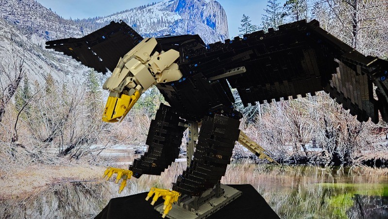 LEGO MOC Eagle by mechahn | Rebrickable - Build with LEGO