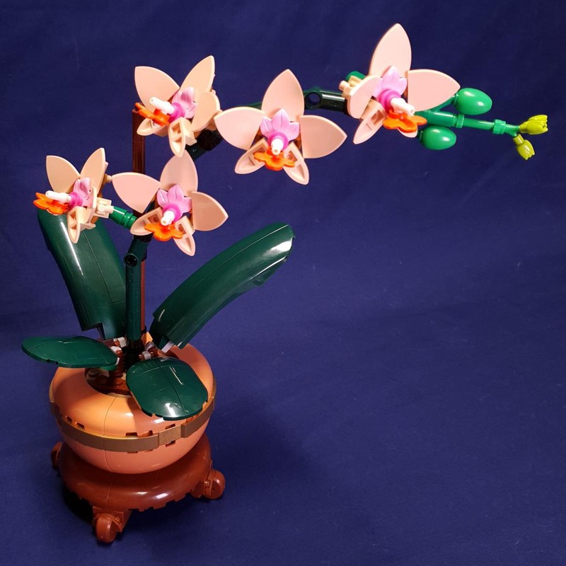 Review: 10343-1 - Mini Orchid & 10344-1 - Lucky Bamboo | Rebrickable ...