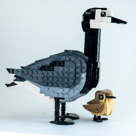 LEGO MOC Barnacle goose and goslings by SKABRAM | Rebrickable - Build ...